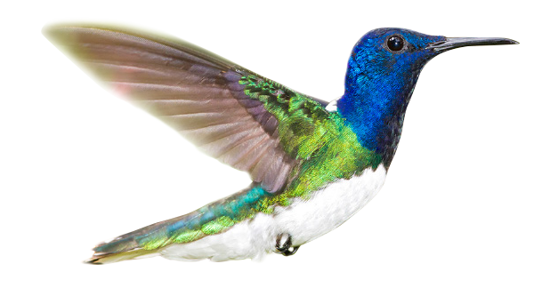 Reseda Binder Albstadt